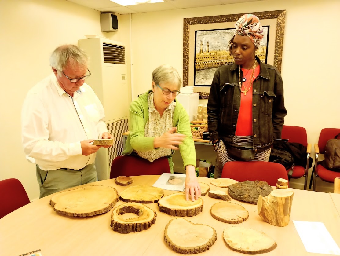Let's talk about trees: How did it go? - Birmingham TreePeople