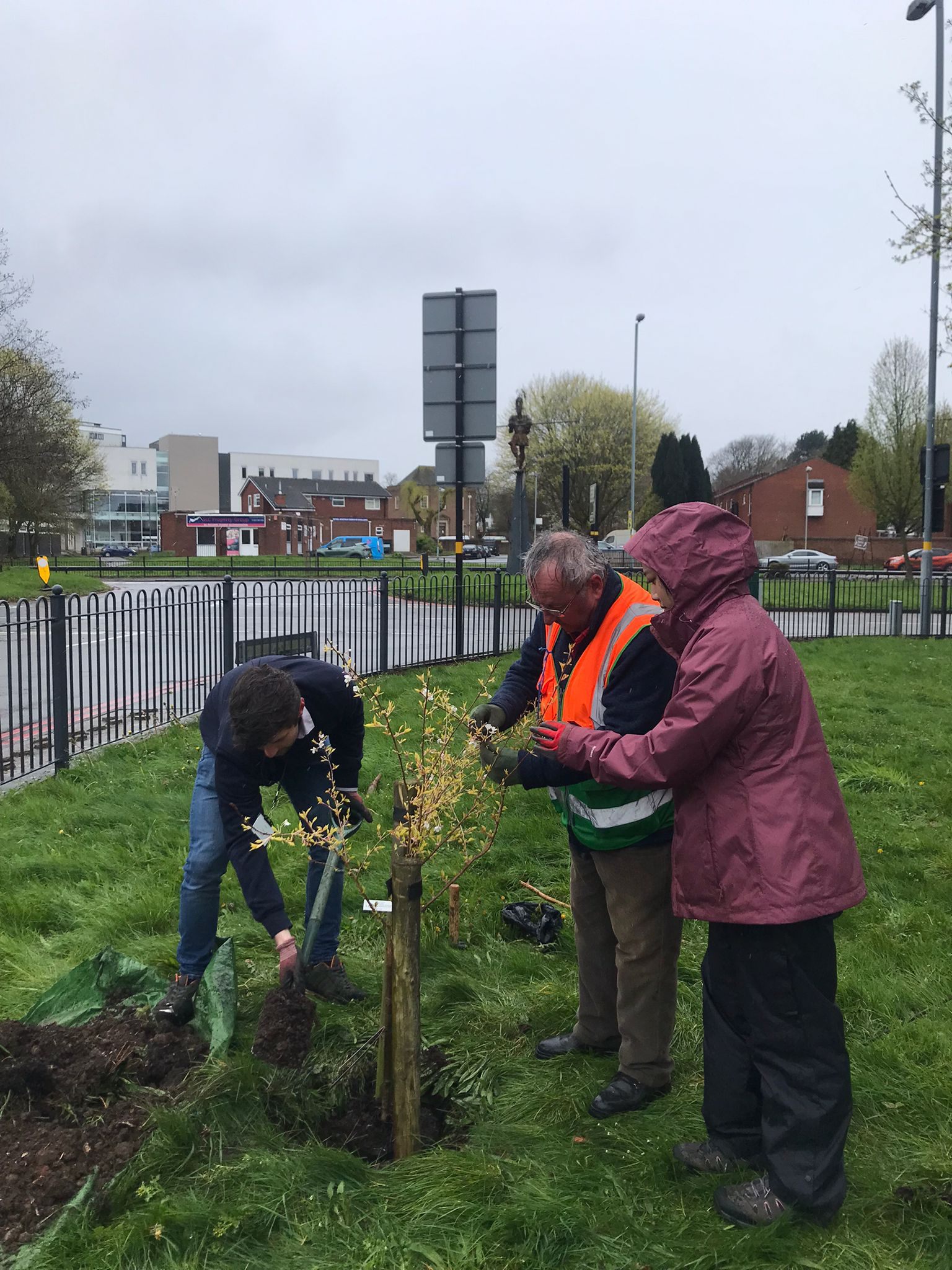 Replacement Trees - Birmingham TreePeople