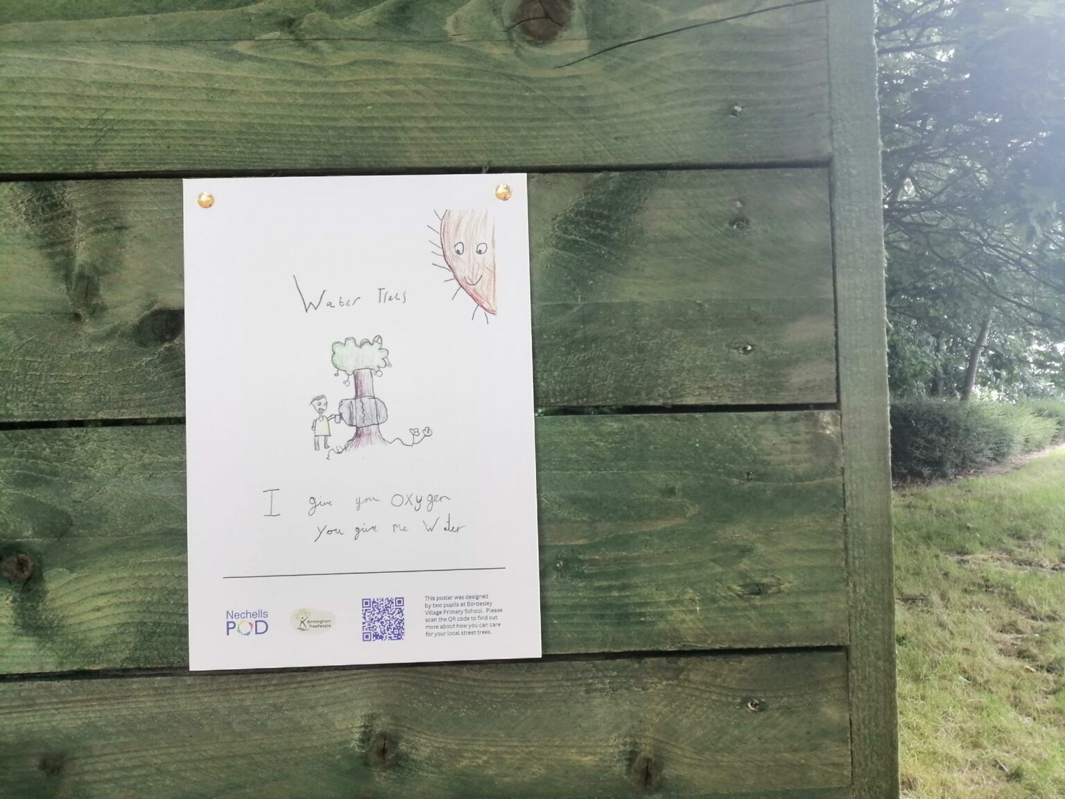 Winners: School Poster Competition - Birmingham TreePeople